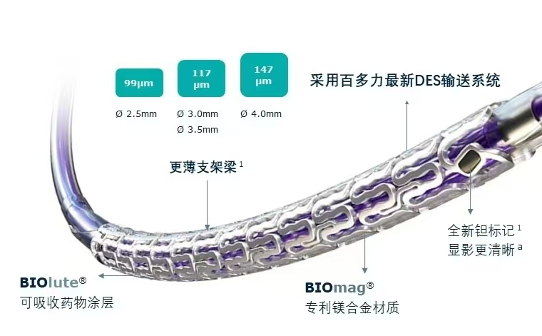 Freesolve西罗莫司洗脱冠脉可吸收镁合金支架系统 | 博鳌乐城先行区中心药房